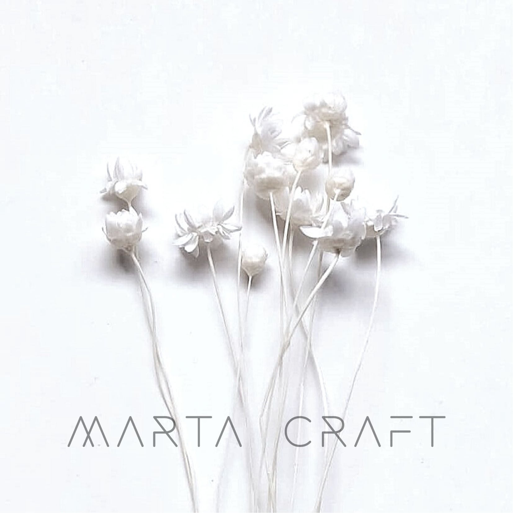 Marta Craft ®️